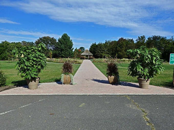 Potted topiaries flank a brick pathway leading straight to a thatched gazebo &mdash; Colonial Park's entrance is practically rolling out the welcome mat.