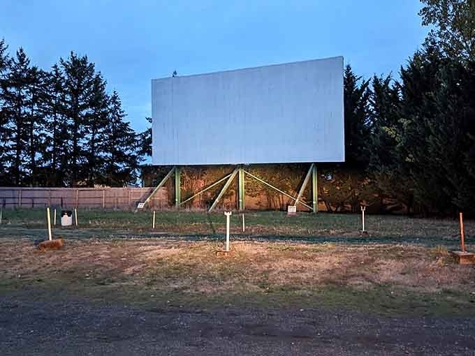 The screen stands tall and quiet before the show, like a blank canvas waiting for something wonderful to happen.