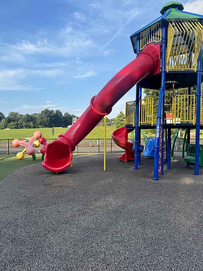 Go ahead, take a good look at that slide. You know you want to go down it just as much as the kids do.