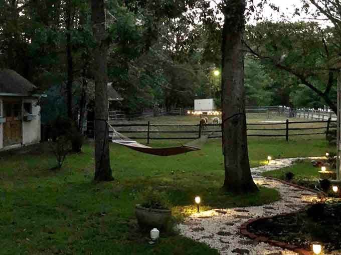 At dusk, the hammock, the path lights, and alpacas grazing beyond the fence create pure storybook magic.