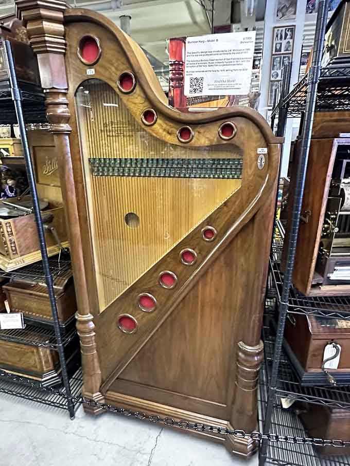 This ornate Wurlitzer harp is so beautiful and unexpected, stumbling upon it feels like finding buried treasure.