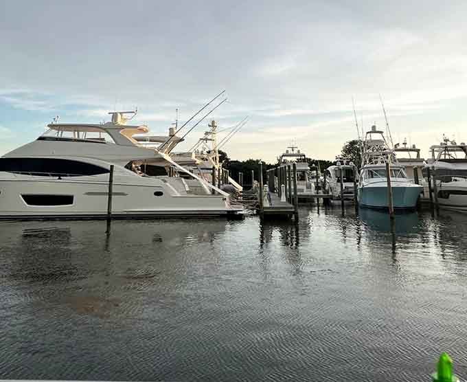Sleek yachts and fishing charters sharing the same calm marina water at dusk. Anna Maria Island keeps good company on the waterfront.