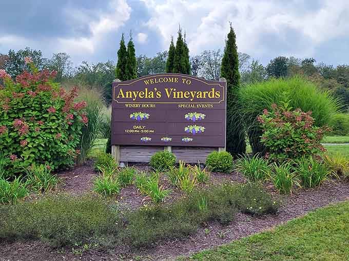 The welcome sign that promises special events and winery hours, basically your permission slip for day drinking responsibly.