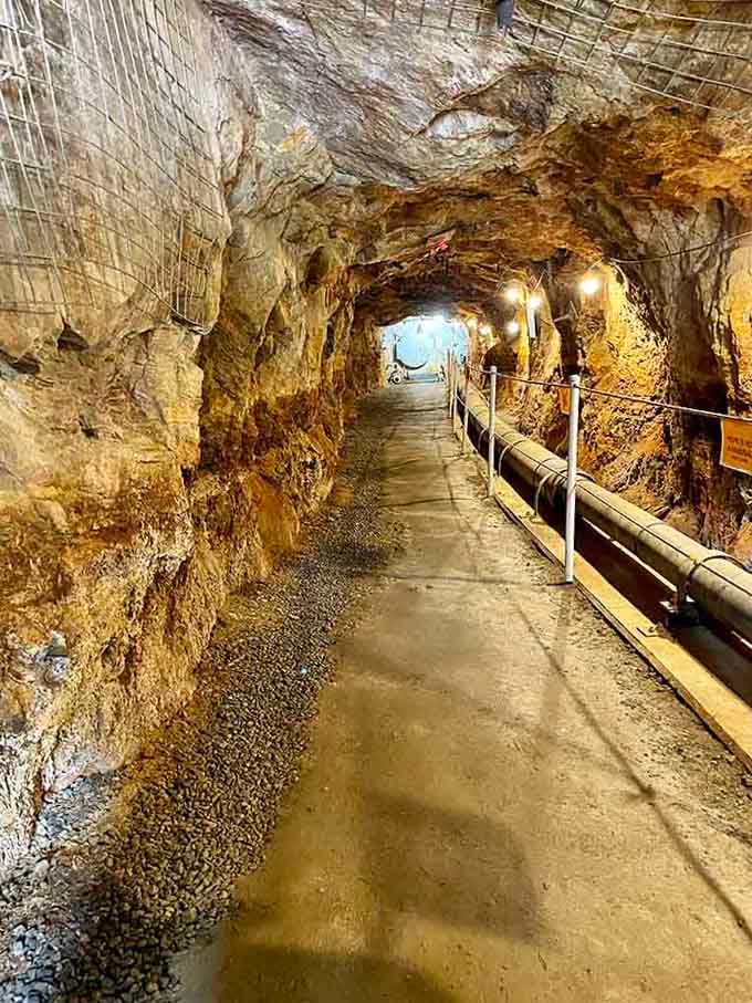 The tunnel stretches ahead like a golden corridor through time. Four miles of history carved by determined hands.
