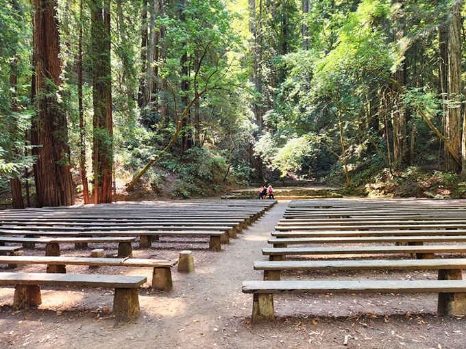 Rows of wooden benches sit beneath the canopy, forming the most spectacular outdoor theater you've never heard of.