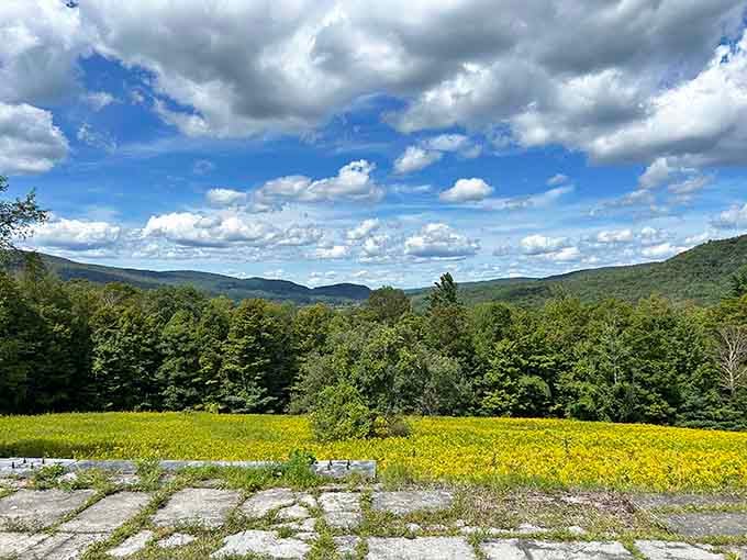 Standing at the Marble Palace ruins, you get a view of the Berkshire hills that absolutely nobody could have planned better.