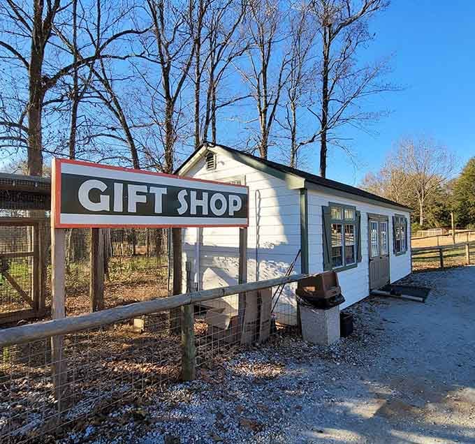 The gift shop is small, charming, and dangerously good at convincing you that you need a zebra plush toy.