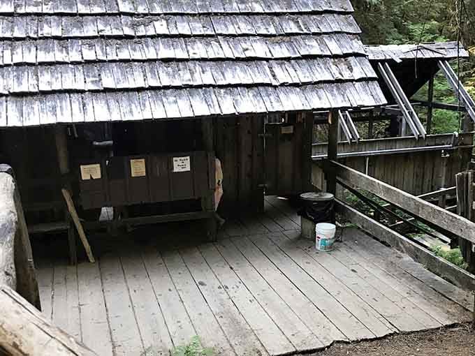 The weathered deck at Bagby has held a lot of happy, tired people over the years.