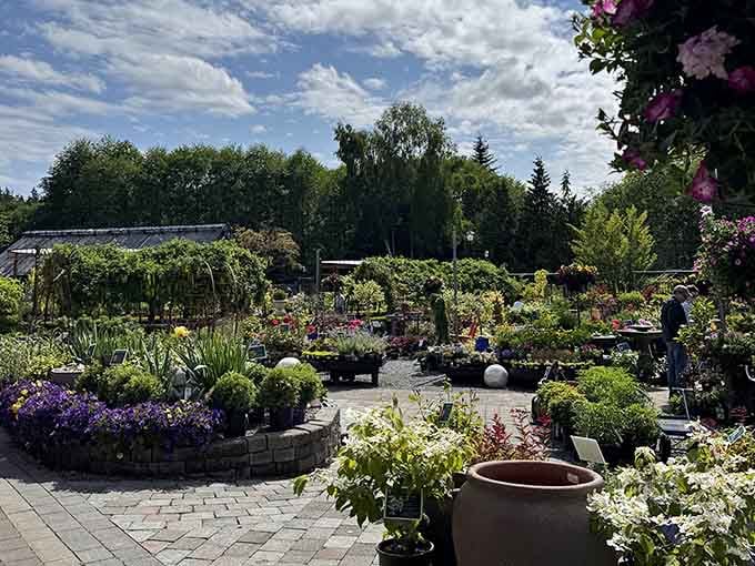 Under a wide open Washington sky, Bayview Garden stretches out like a living, breathing work of art.