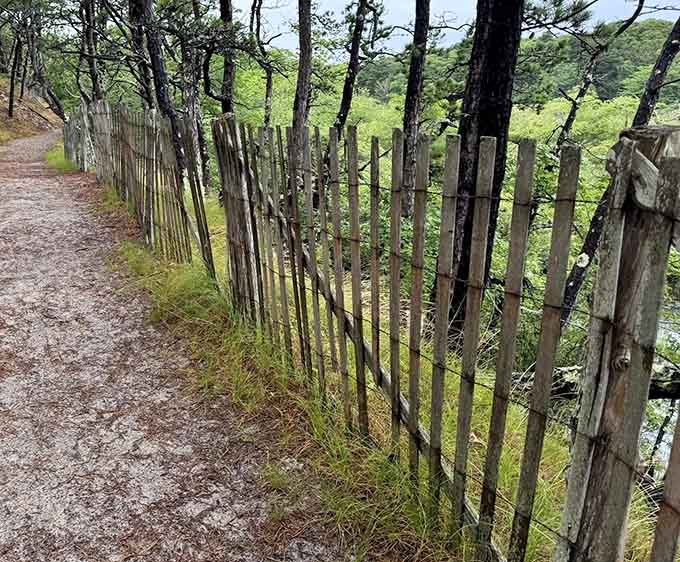 A weathered wooden fence that's seen a thousand seasons and somehow looks better for every single one.