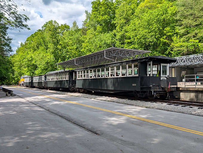 The passenger cars stretch along the road, ready to carry you somewhere your GPS has probably never suggested before.