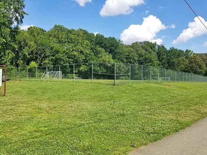 A proper soccer field tucked right next to a historic caboose, because Arlington does things its own way.