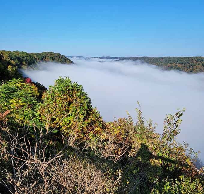 When morning fog fills the valley below Brady's Bend, you are no longer in Pennsylvania, you are above the clouds.