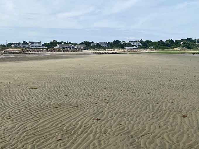 Cape Cod homes line the shore behind the Brewster Tidal Flats, watching the tide do its daily disappearing act.