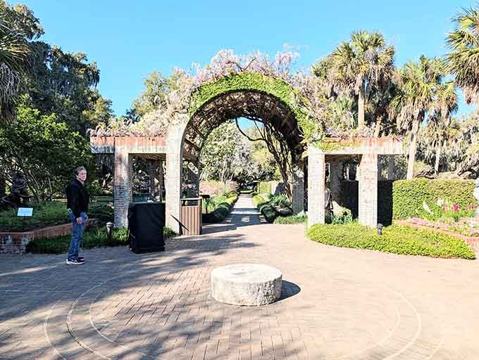 Wisteria transforms this pergola into something straight from a Jane Austen novel, minus the complicated courtship drama.