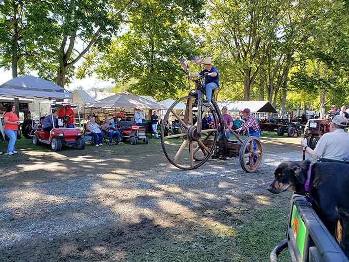 That giant bicycle contraption suggests the county fair here takes entertainment seriously, possibly too seriously, and we're absolutely here for it.