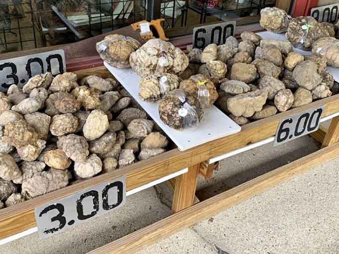 A table full of geodes sitting right outside the entrance, because sometimes the best treasures look like ordinary rocks at first glance.