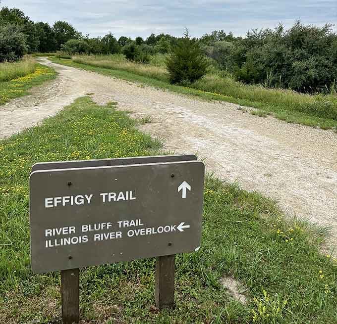 Trail signs pointing you toward giant earthen animals—because normal hiking just wasn't interesting enough for Buffalo Rock.