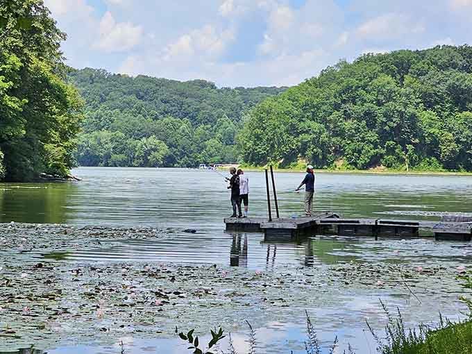 Anglers work the shallows where fish congregate, pursuing that perfect catch with patience and optimistic determination.