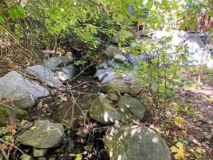 A natural creek runs nearby, adding peaceful water sounds to your cave dwelling experience.
