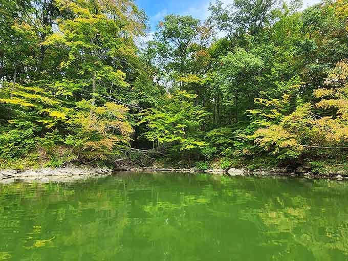 Trees leaning over the water, their reflections turning the lake a deep, dreamy green. Bring your camera and your patience.