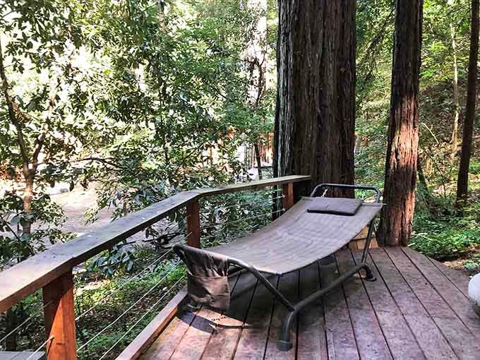 One lounge chair, one deck, one giant redwood, and zero reasons to check your email today.