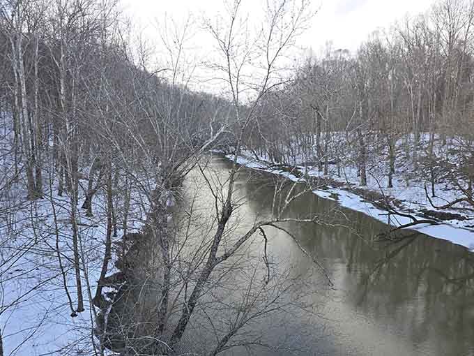 Winter transforms familiar creeks into something mysterious and beautiful, like nature's own black and white photography exhibit.