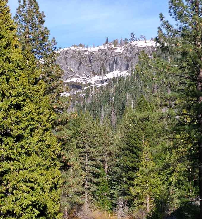 Dense pine forests frame the winter landscape, showing how the area transforms when snow blankets the Sierra Nevada mountains.