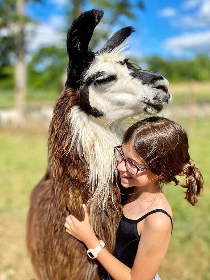 A girl hugs a llama under a summer sky, and somehow the llama looks genuinely touched.