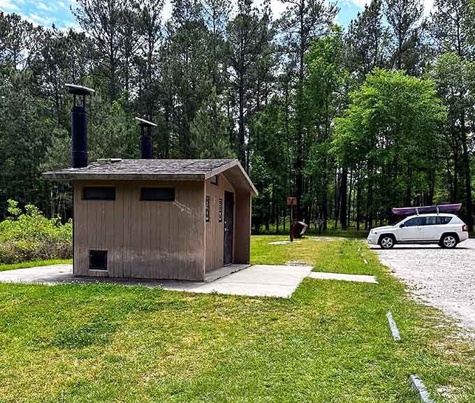 Even the trailhead facilities here are surrounded by towering pines, proving Congaree has excellent taste in scenery.