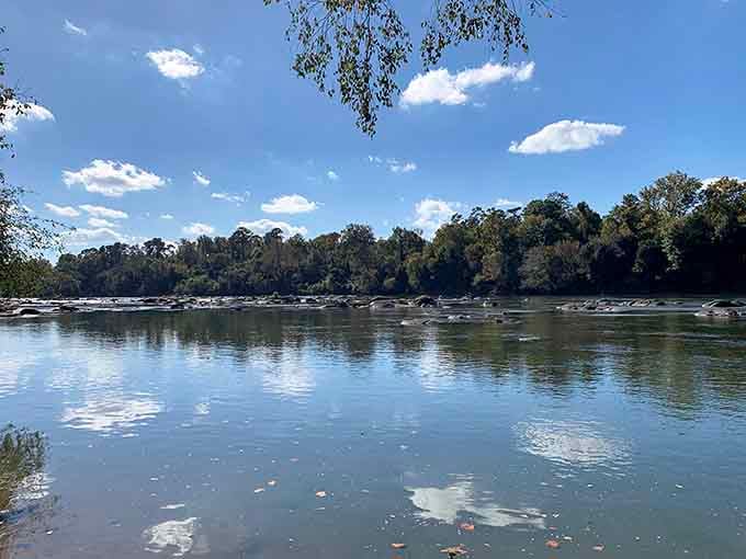 The Congaree River stretches wide and calm, reflecting clouds and trees in one breathtaking, mirror-perfect scene.