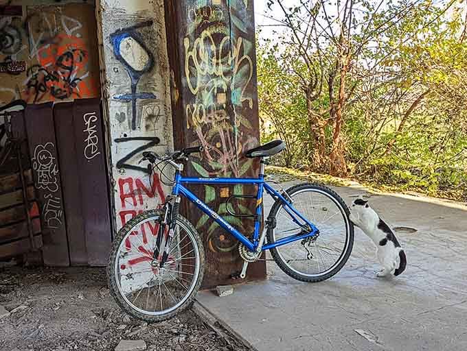Someone's bicycle leans casually against history, as if waiting for its owner to finish one last photo.