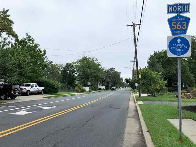 Coastal evacuation route markers remind you this scenic byway serves practical purposes when Mother Nature gets cranky.