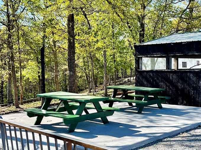 Green picnic tables, dappled sunlight through the trees, and the kind of quiet that reminds you to slow down.