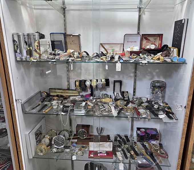 Vintage wristwatches and small antique clocks lined up neatly, each one keeping time for a different era.