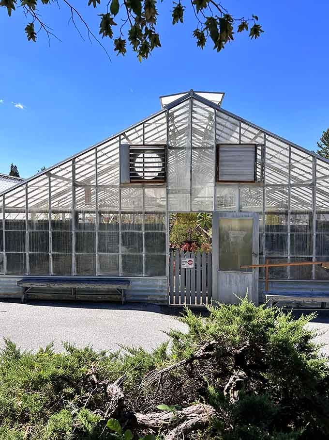 This greenhouse keeps the growing going year-round, because plants don't believe in taking vacations.