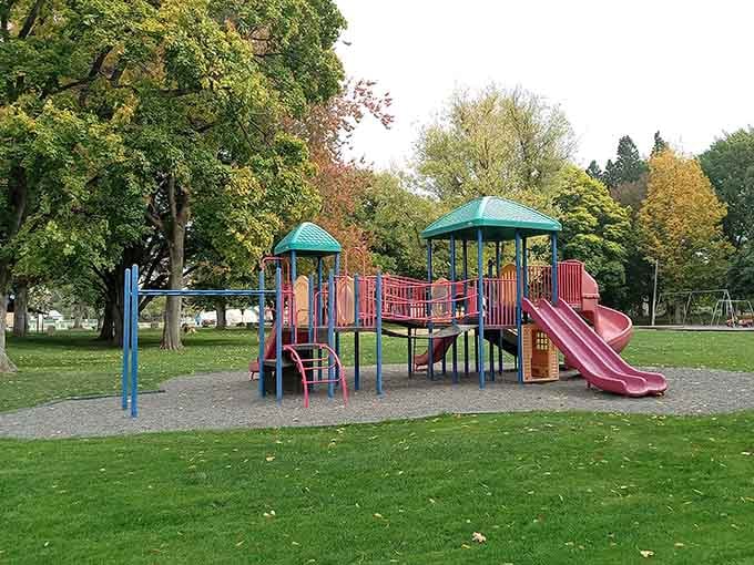 Dayton Park, green and unhurried, the sort of place where kids still play outside without a scheduled activity.