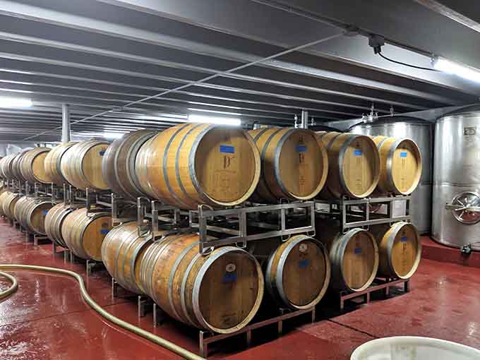 Oak barrels stacked and quietly doing their thing. Good wine, like good stories, takes time.