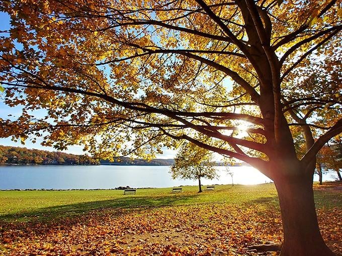 Fall at Deep Creek Lake is basically nature's way of saying sorry for everything summer put you through.