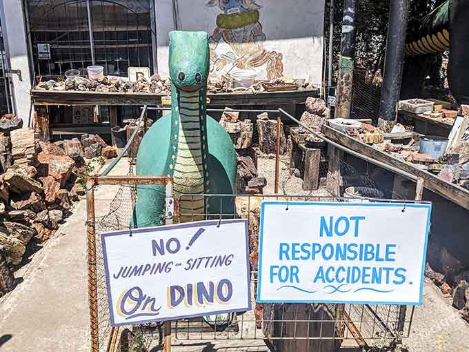 The signs say no jumping or sitting on the dino, which means someone definitely tried both.