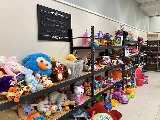 Shelves overflowing with stuffed animals and colorful toys, basically a kid's birthday wish list at a fraction of the cost.