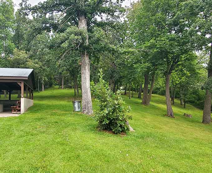 Rolling green hills, scattered oaks, and a picnic shelter tucked in the shade. This park means serious business.