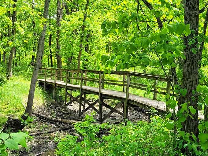 Charming wooden bridges cross gentle streams, making you feel like you're in a Monet painting without the crowds.