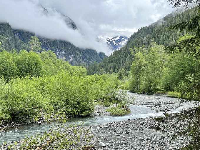 The Quinault River flows like it's got somewhere important to be, probably another stunning vista.