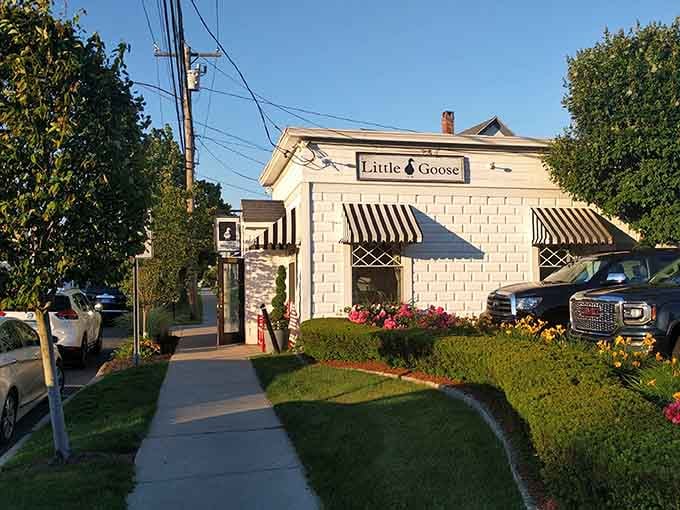 Little Goose Cafe proves that the best neighborhood spots often come in the most charmingly understated packages imaginable.