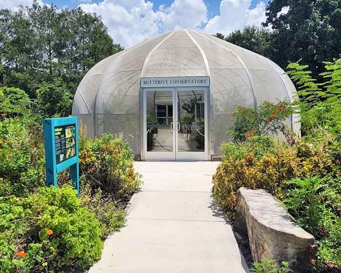 The Butterfly Conservatory at Flamingo Gardens looks like a giant snow globe, minus the snow, plus the wonder.