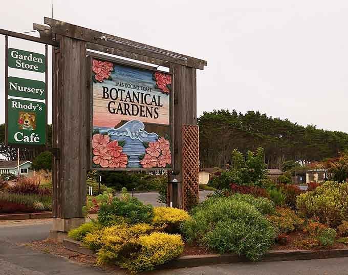 The Mendocino Coast Botanical Gardens sign alone is enough to make you pull over and stay for the afternoon.