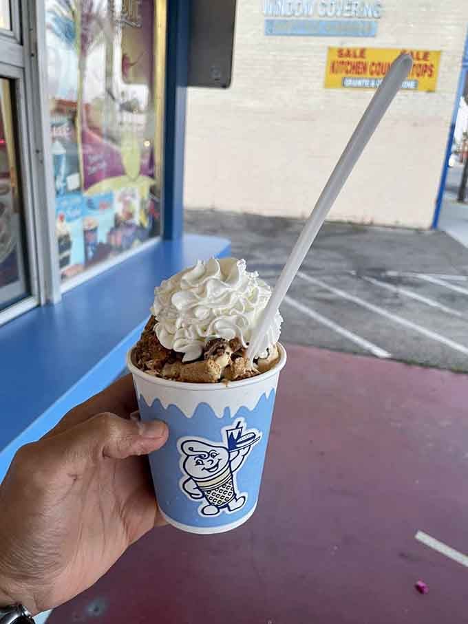 Ice cream twister topped with whipped cream: because sometimes more is more, and restraint is overrated anyway.