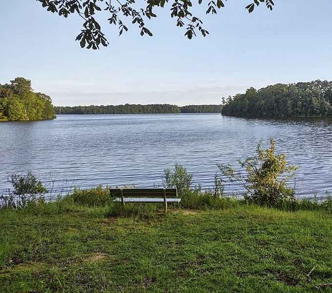 That lone bench by the water isn't lonely, it's just waiting for someone smart enough to sit down and stay awhile.