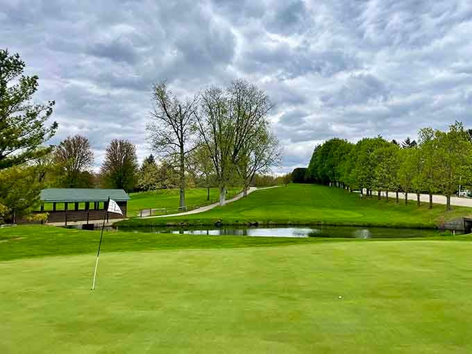 Manicured greens meet tranquil water features, proving that championship-quality golf doesn't require country club membership fees or pretentious dress codes.